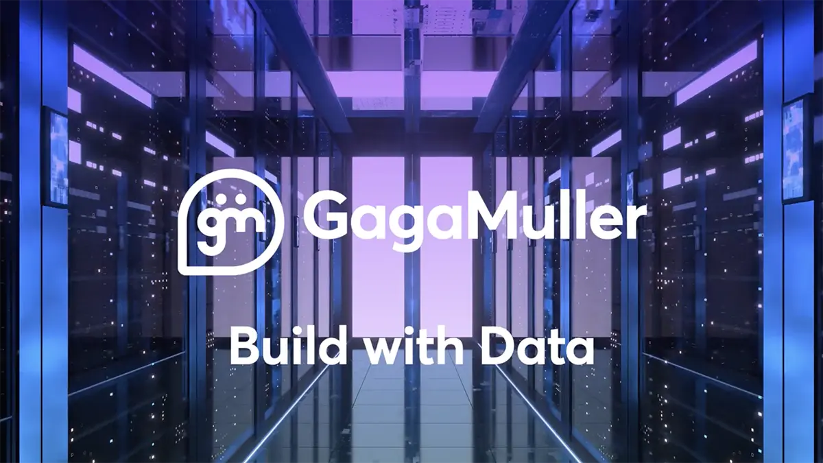 Company - GagaMuller | Project Management and Cost Management